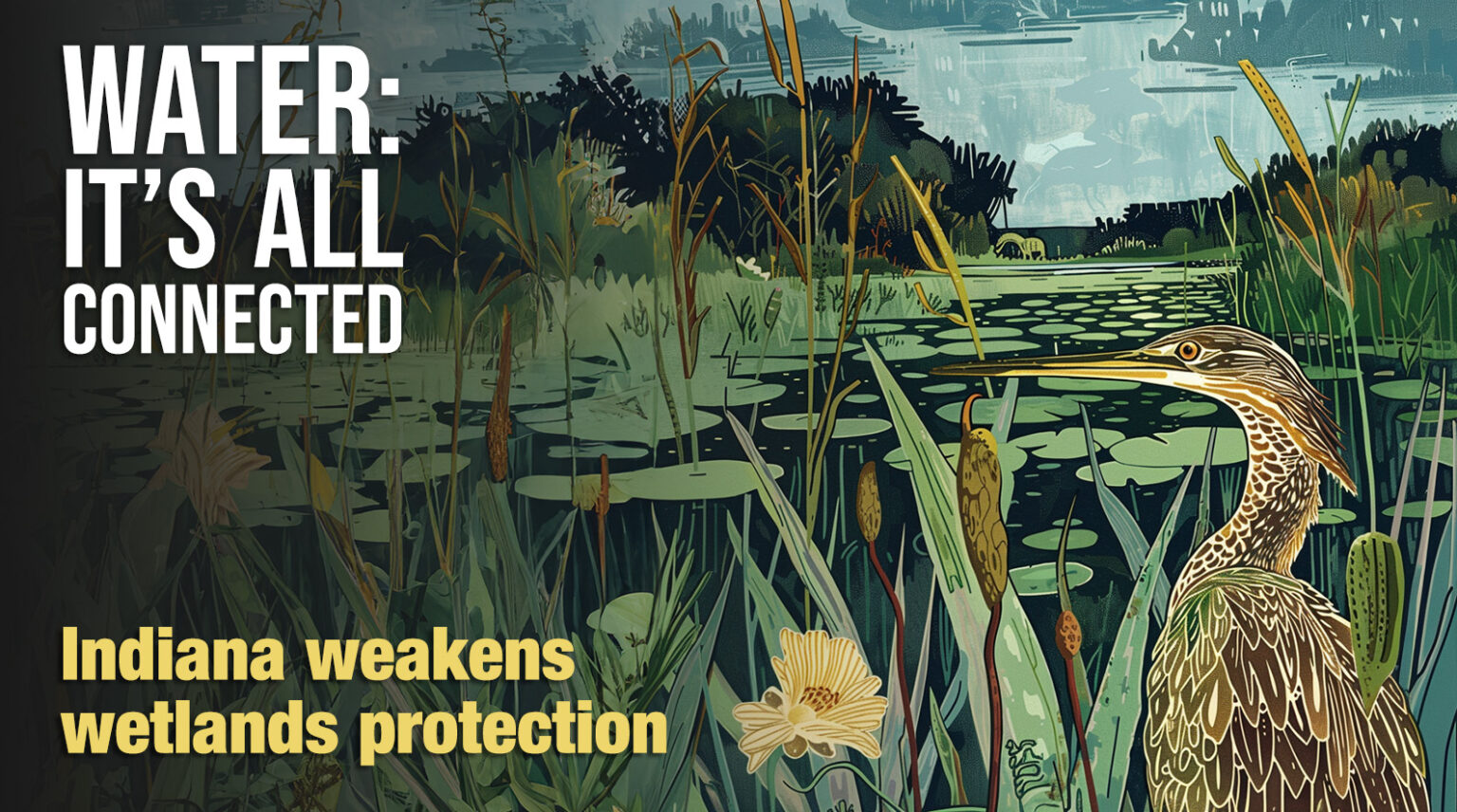 Indiana Wetland Protection Rollback Threatens Great Lakes - Flow Water ...