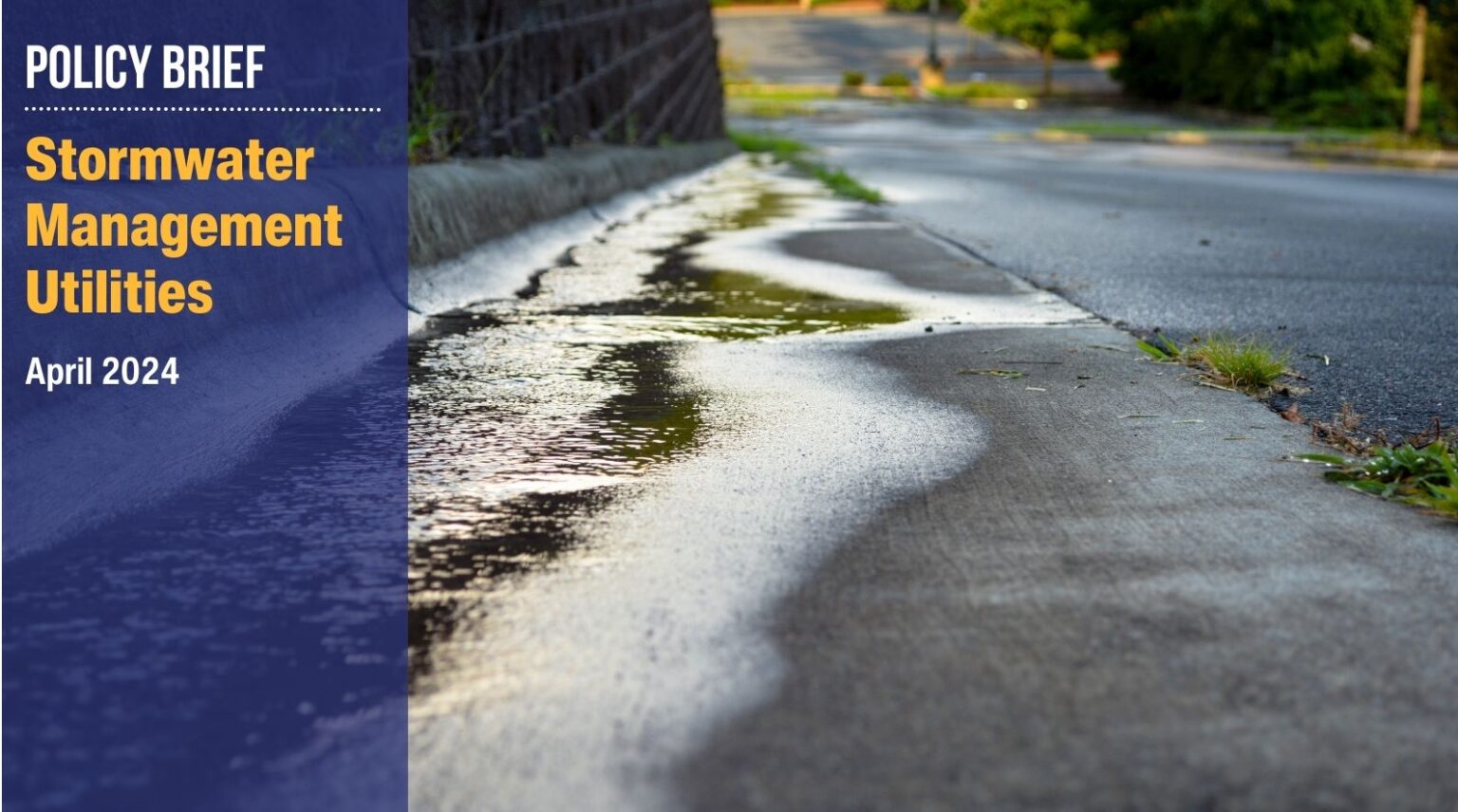 Green Infrastructure: Smart solutions for stormwater runoff - Flow ...