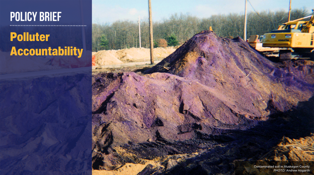Policy Brief: Polluter Accountability in Michigan - Flow Water Advocates