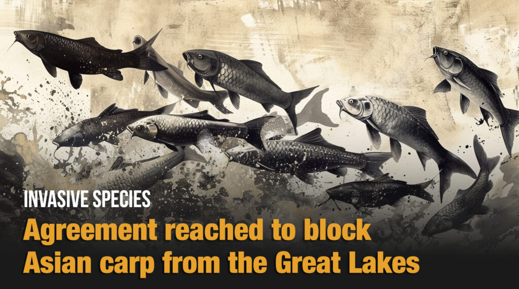 Michigan Co-Signs Agreement to Block Asian Carp from the Great Lakes ...