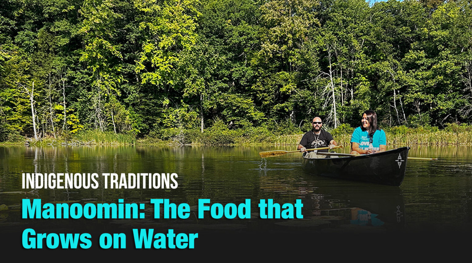Manoomin: The Food that Grows on Water - Flow Water Advocates