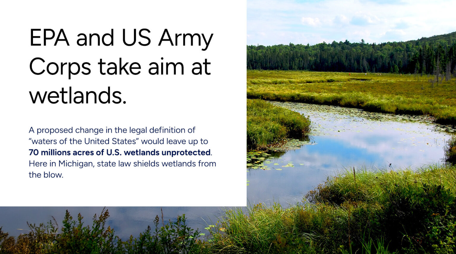Trump administration takes aim at wetlands protections; Michigan state ...